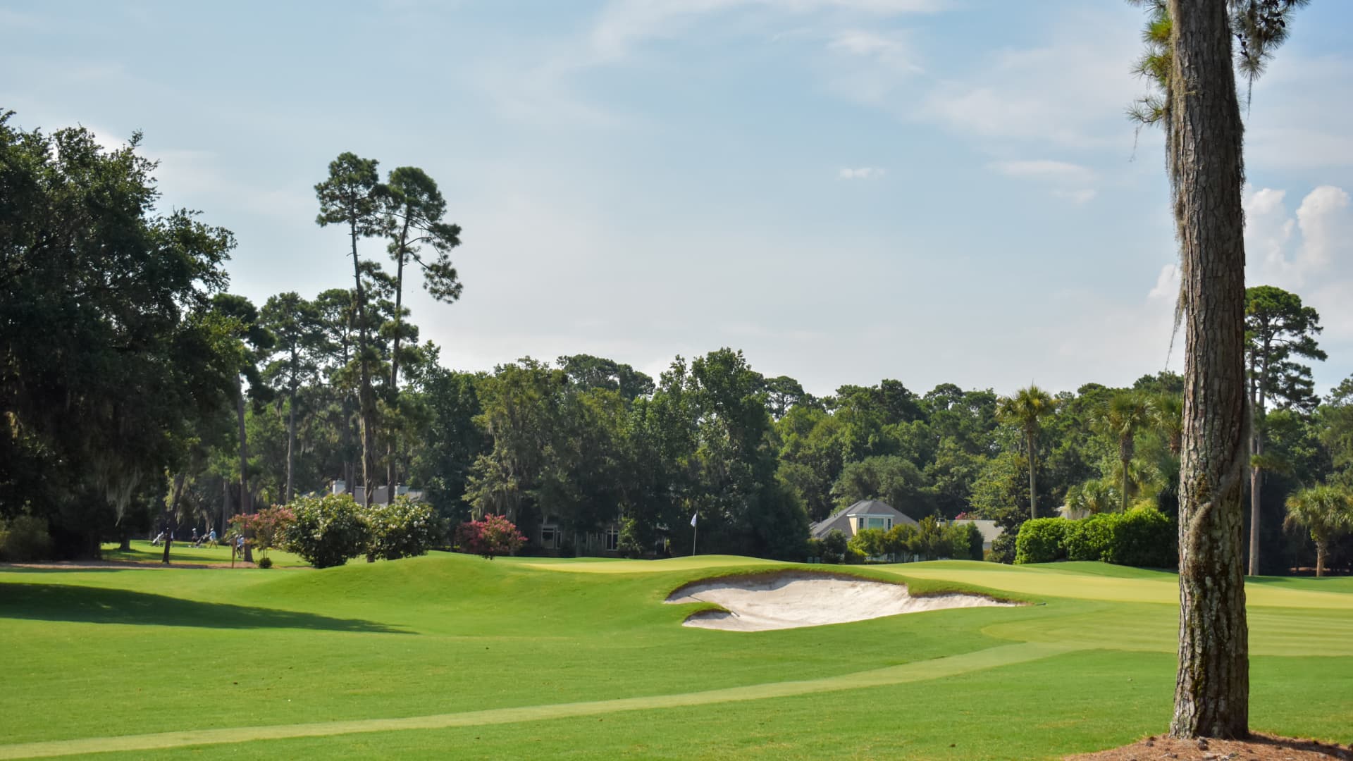 Handicapping | Play | The Georgia State Golf Association