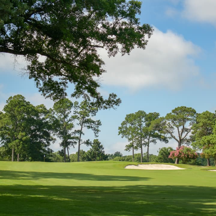 The Georgia Women's Amateur Championship | GSGA Competitions