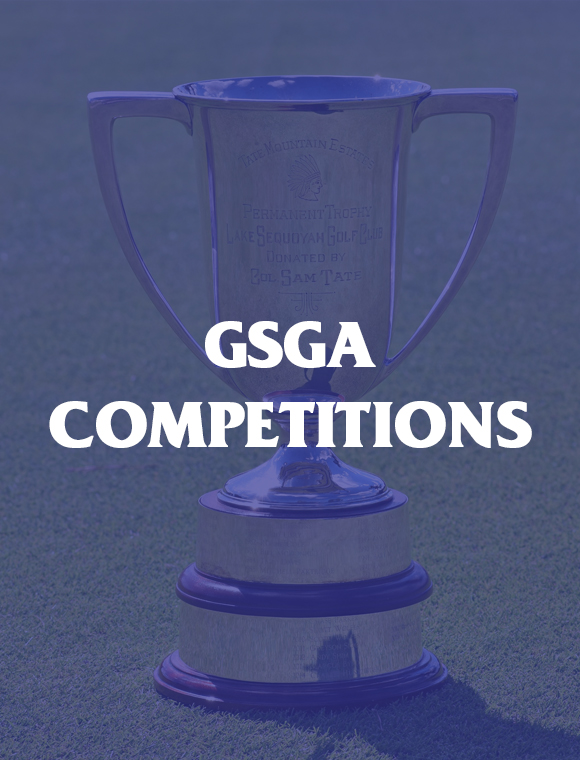 Juniors | Casual Play & GSGA Competitions Across Georgia